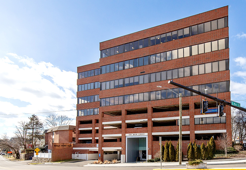 CBRE arranges $19.1m sale of 73,060 s/f Holly Pond Plaza to Sendero ...